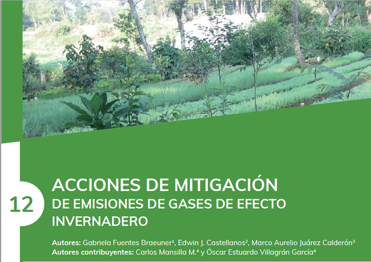 Capítulo 12 Acciones De Mitigación De Emisiones De Gases De Efecto